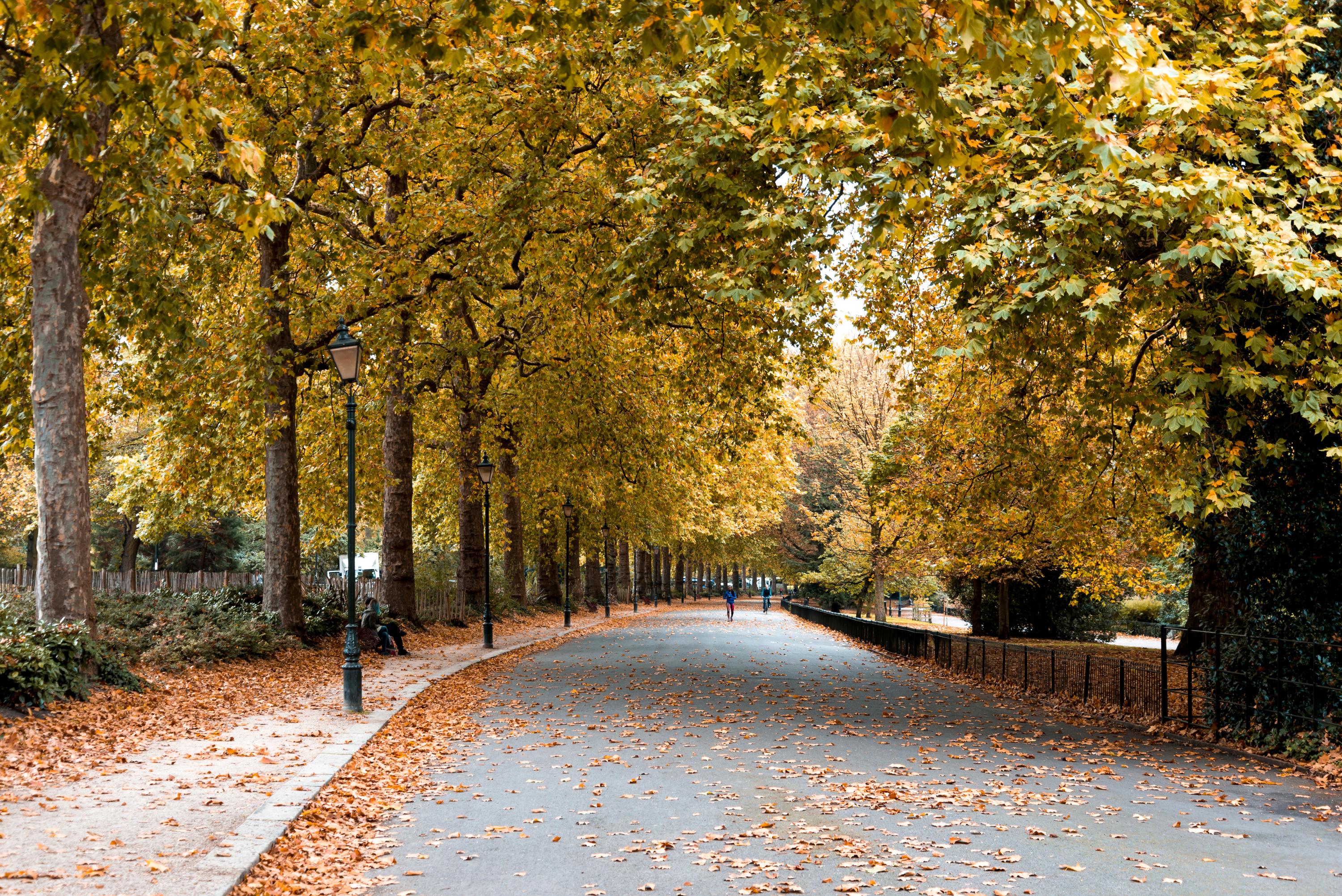 Nine Elms Area Guide | Fine & Country