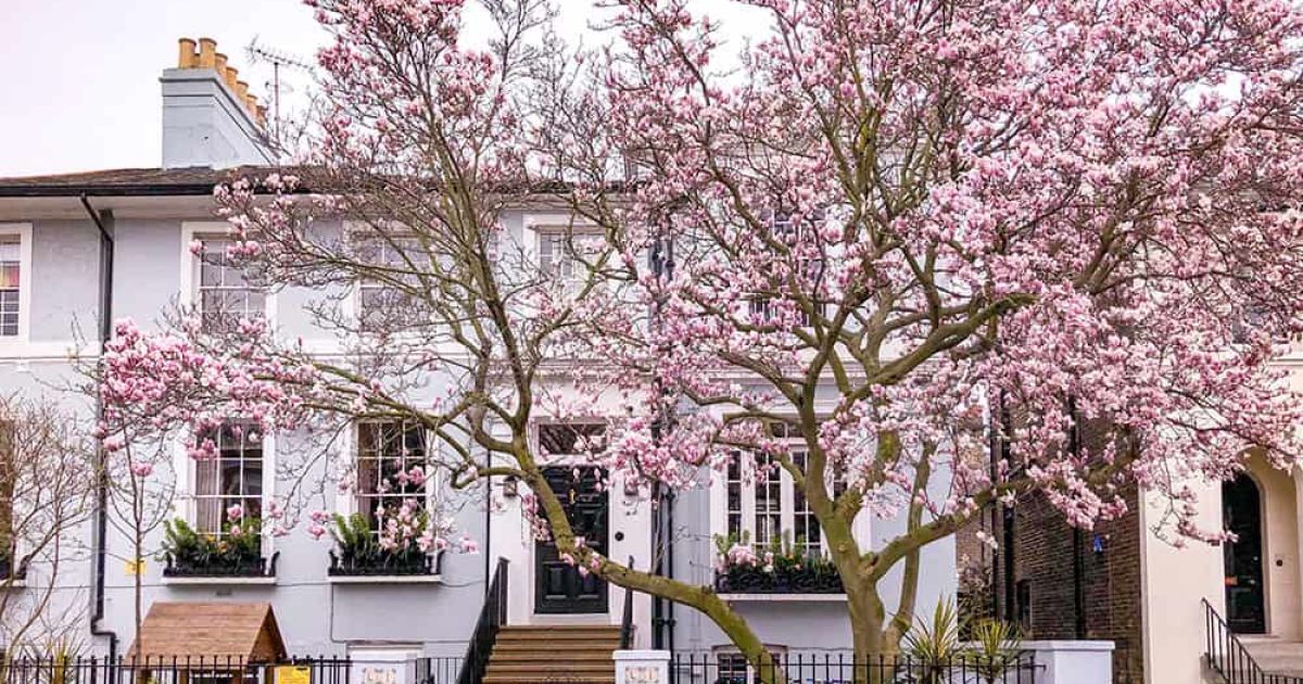 Why Spring is the perfect time to sell your property | Fine & Country