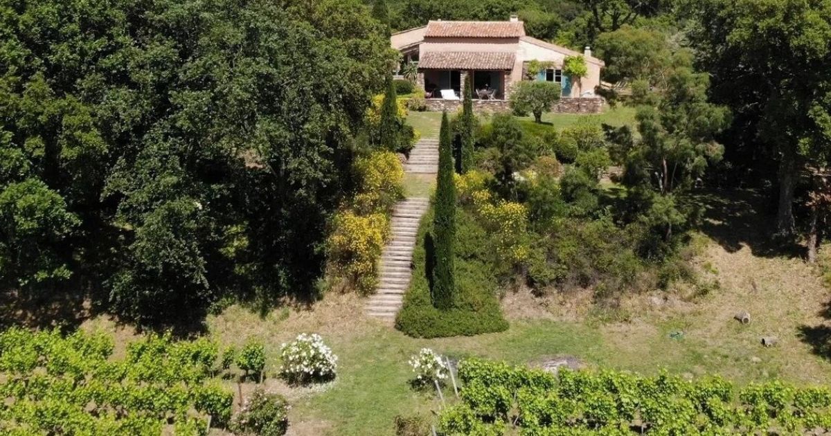 A wine lover’s dream: vineyards and wine cellars | Fine & Country