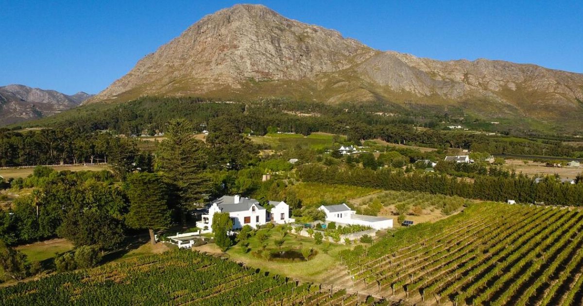 A Wine Lover’s Dream: Vineyards and Wine Cellars | Fine & Country