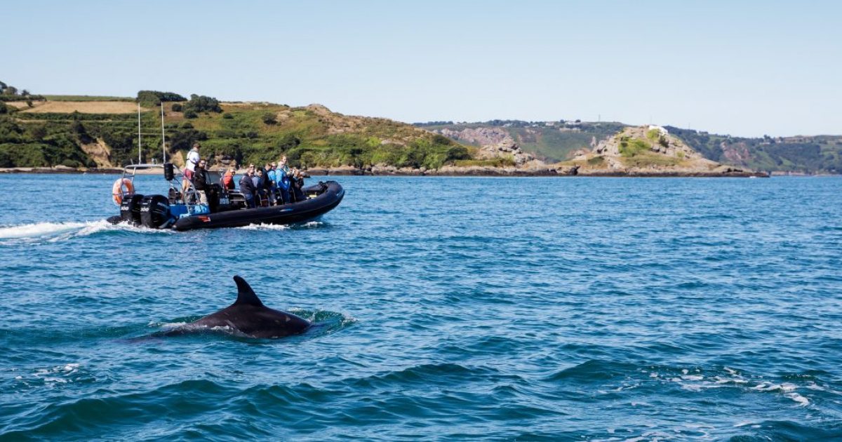 Exploring the island | Fine & Country