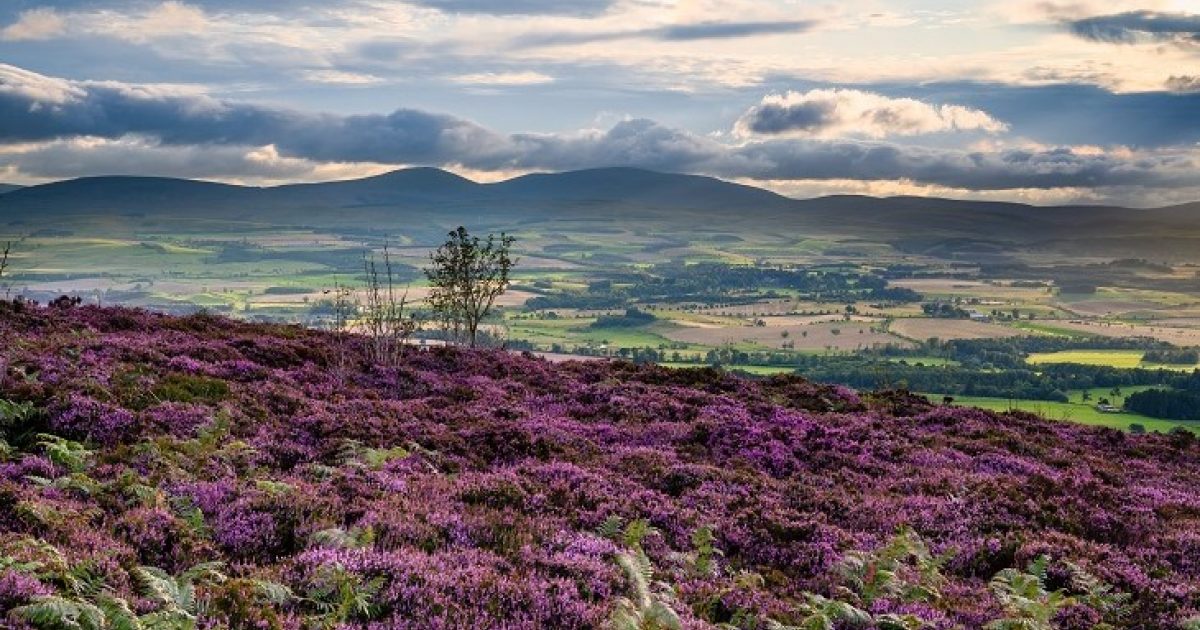 Britain's spookiest villages | Fine & Country