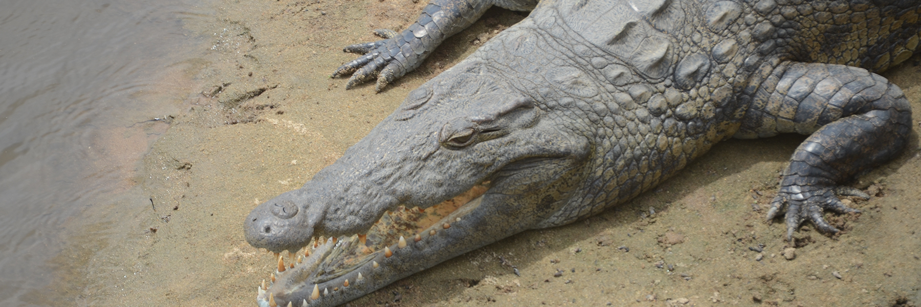 Malelane Area Guide | Fine & Country