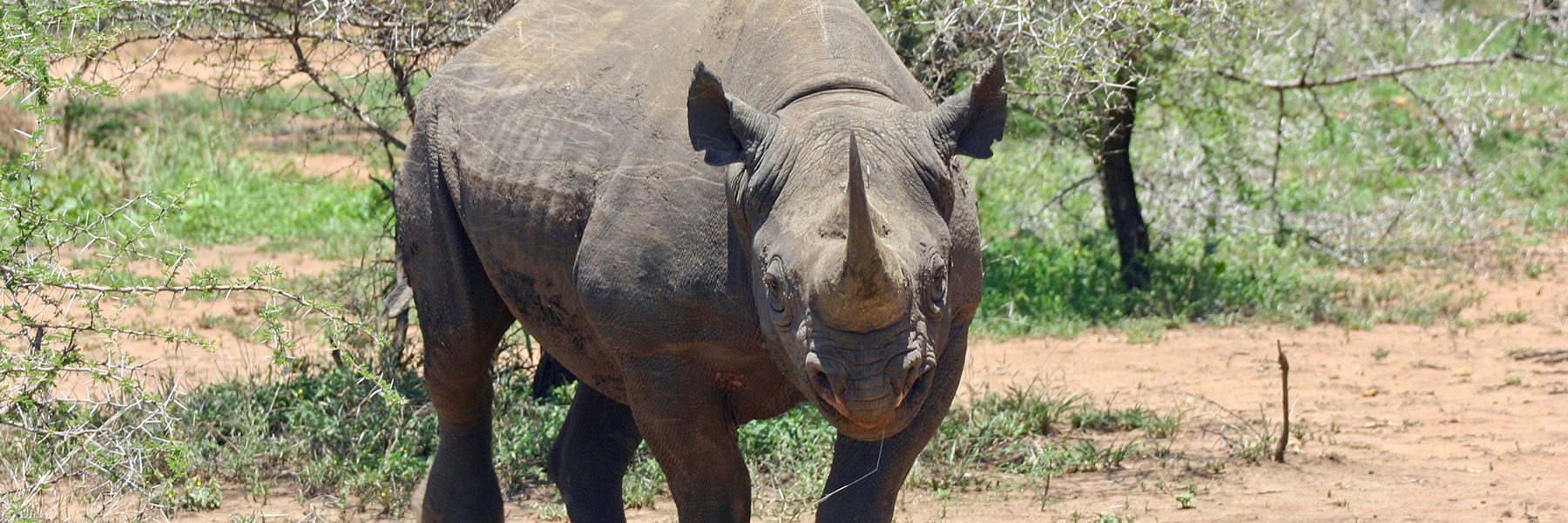 Marloth Park Area Guide | Fine & Country