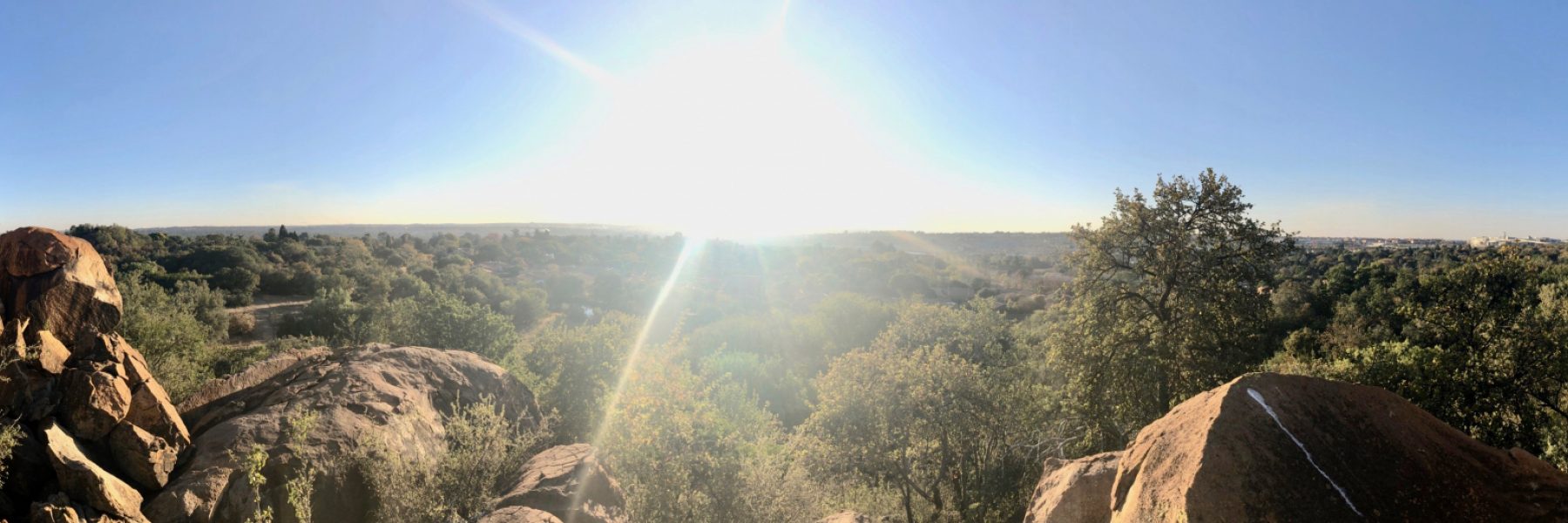 Fourways Area Guide | Fine & Country