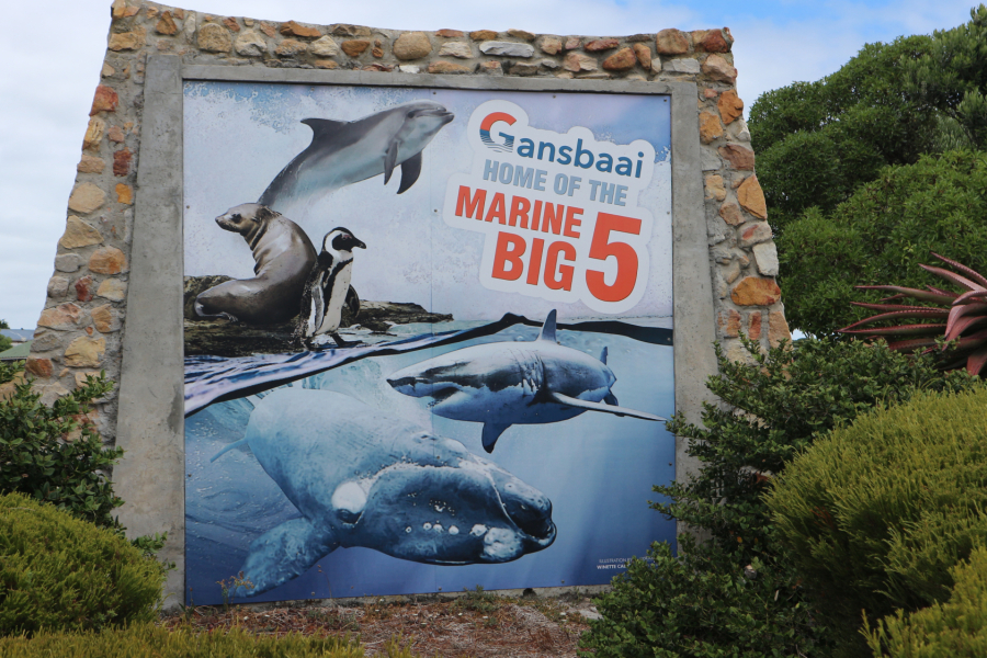 Gansbaai Area Guide | Fine & Country