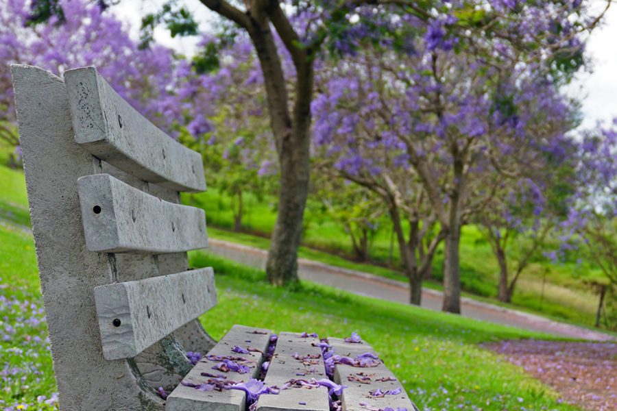 Pretoria Old East Area Guide | Fine & Country