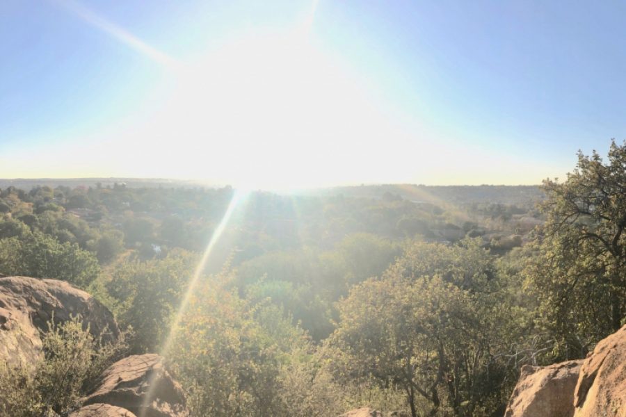 Fourways Area Guide | Fine & Country