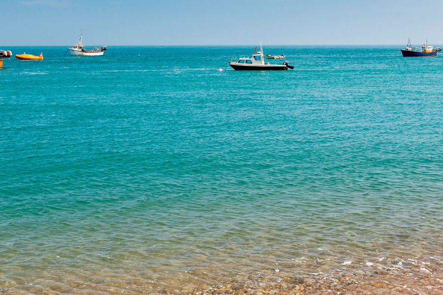 Selsey Area Guide | Fine & Country