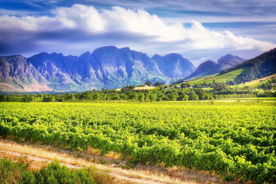 Stellenbosch Area Guide | Fine & Country