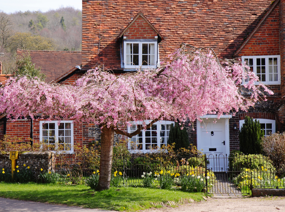 Britain's Prettiest Spring Villages | Fine & Country