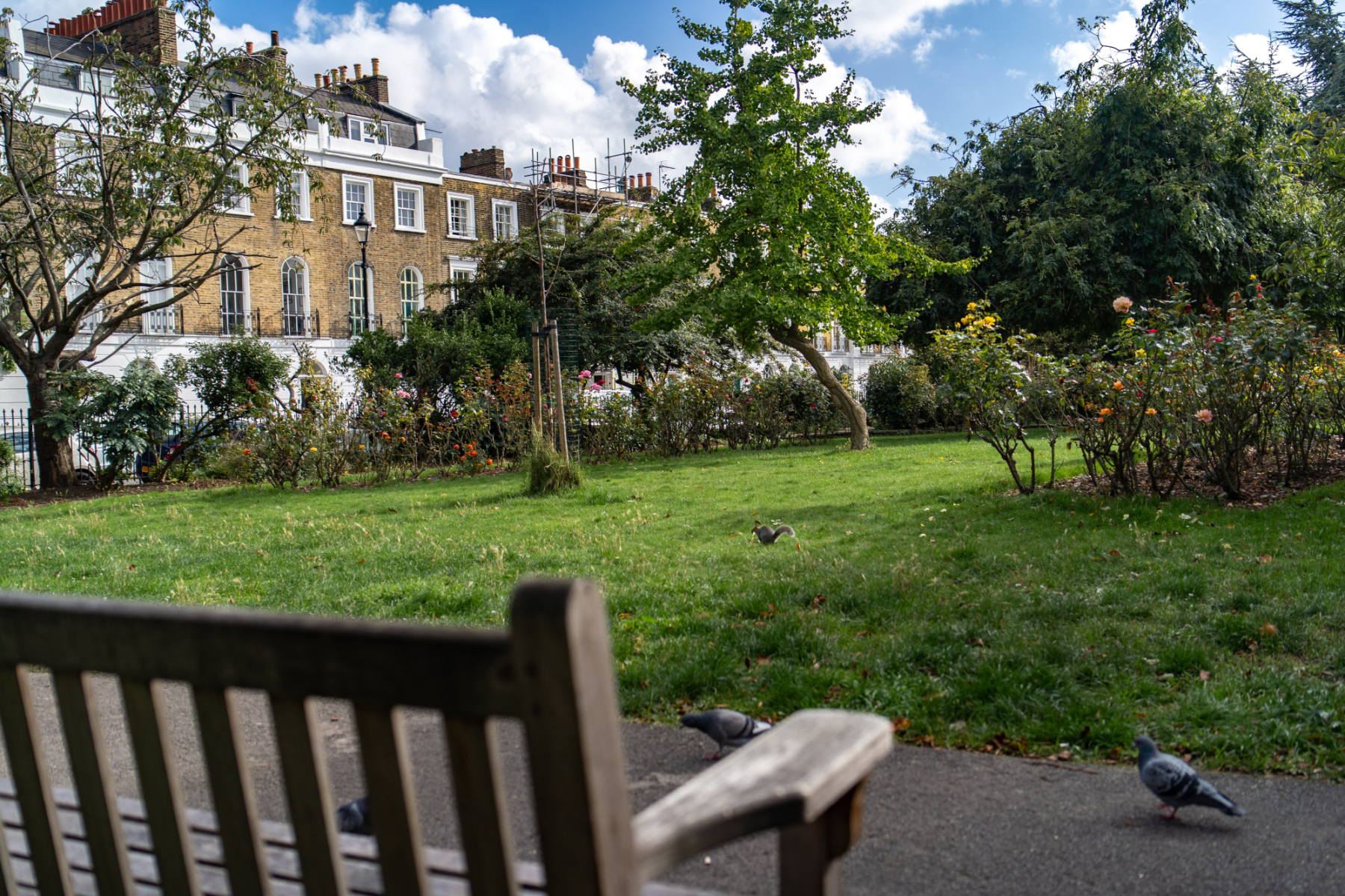 What’s Happening in the Barnsbury Prime Market? | Fine & Country